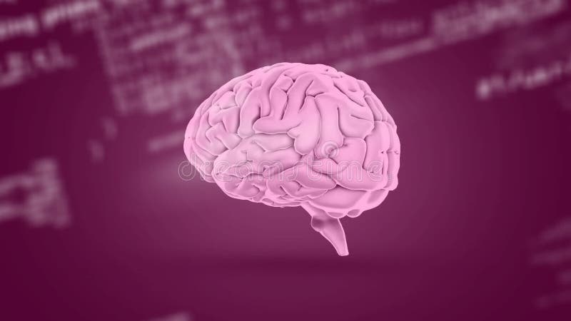 Animation of Human Brain and Scientific Data Processing Stock Video ...