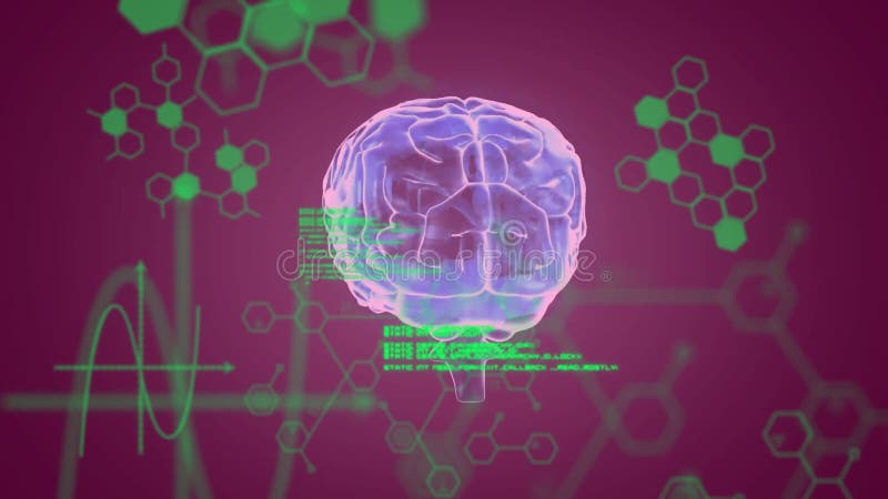 Animation of Human Brain and Scientific Data Processing Stock Video ...