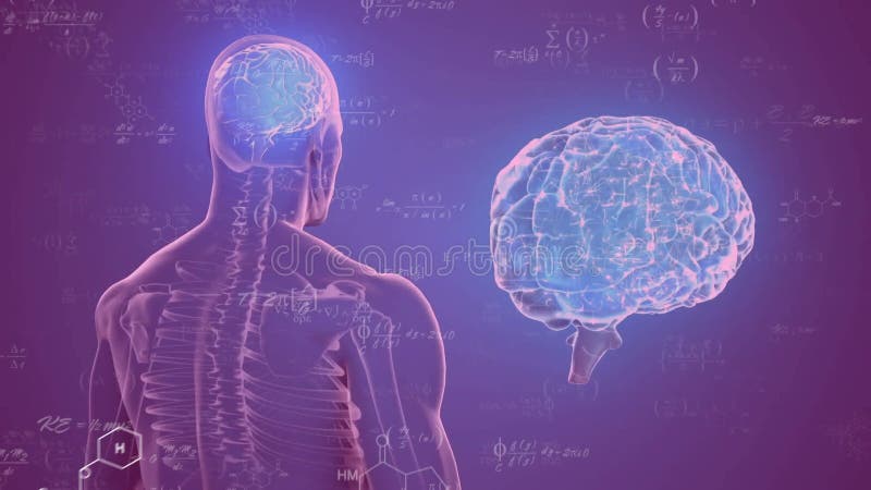 Animation of Human Brain and Scientific Data Processing Stock Footage ...