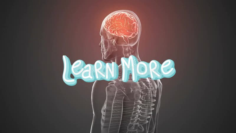Animation of Human Brain and Spine with Learn More Text in School ...