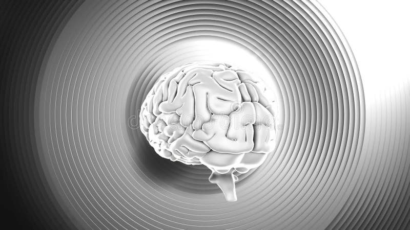Animation of Human Brain Spinning Over White Circles Stock Video ...