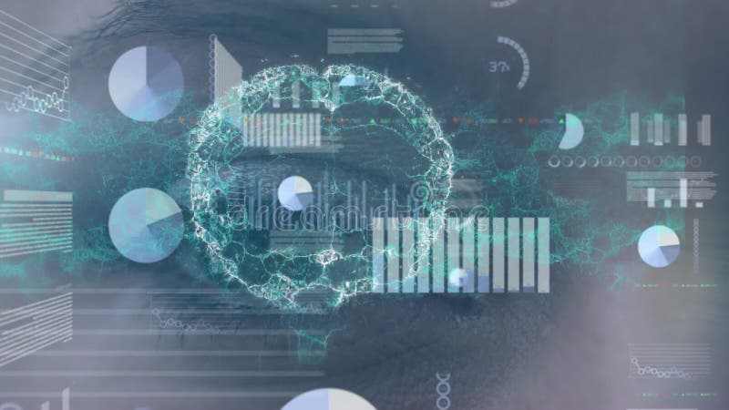 Animation of Human Brain, Statistics with Data Processing Stock Video ...