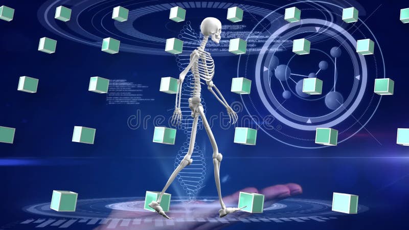 Animation of Human Skeleton, Dna Strand and Rows of Green Cubes Over ...