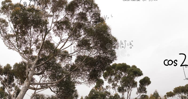 Animation of Layers of Mathematical Formulae and Equations Over Trees ...