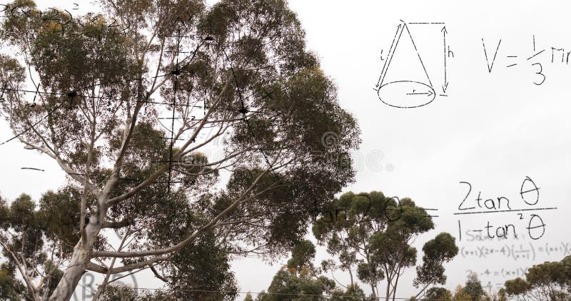 Animation of Layers of Mathematical Formulae and Equations Over Trees ...