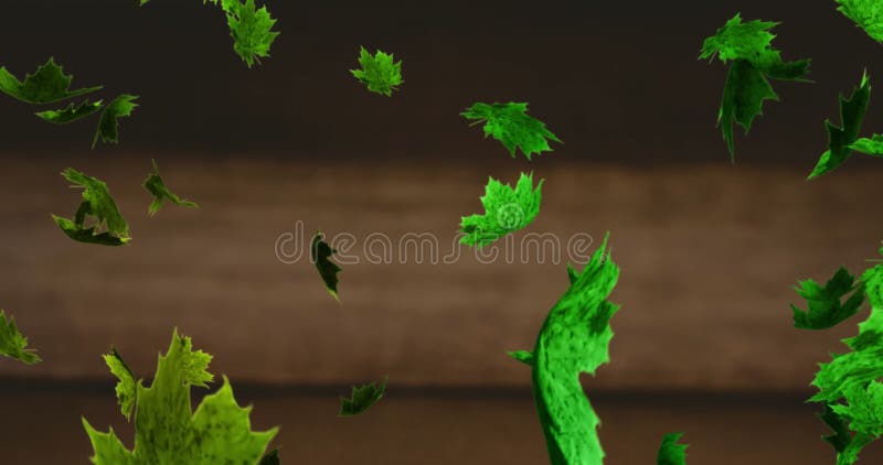 Animation of Leaves Floating Over Black Background Stock Video - Video ...
