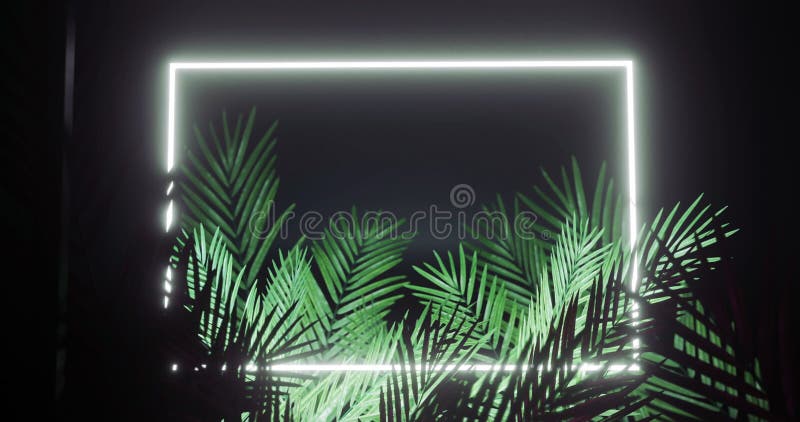 Animation of Leaves Over White Neon Rectangle on Black Background Stock ...