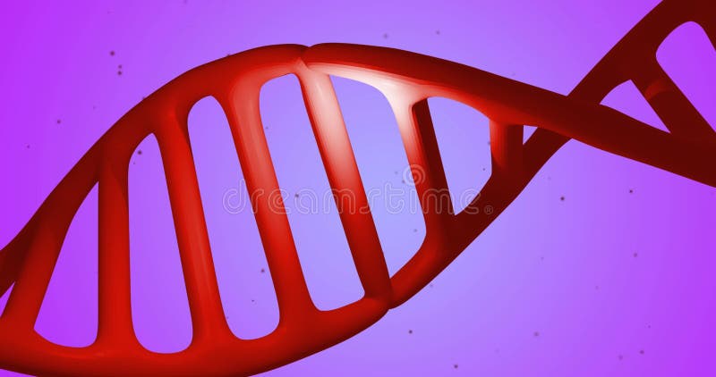 Animation of Macro Red Dna Strand Spinning on Purple Background Stock ...