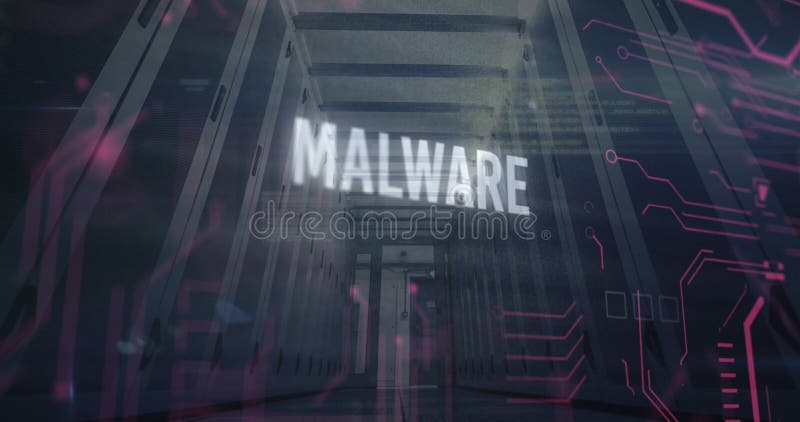 Animation of Malware Text and Computer Language Over Low Angle View of Server Room Stock Footage ...