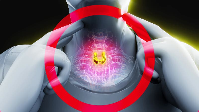 Animation of a Man and the Thyroid Gland Stock Video - Video of ...