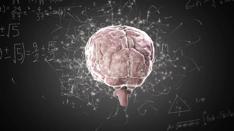 Animation of Mathematical Data Processing Over Human Brain Stock ...