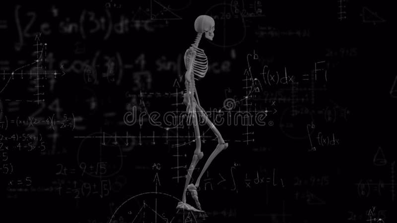 Animation of Mathematical Equations Over Skeleton Stock Footage - Video ...