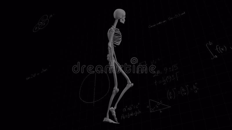 Animation of Mathematical Equations Over Skeleton Stock Footage - Video ...
