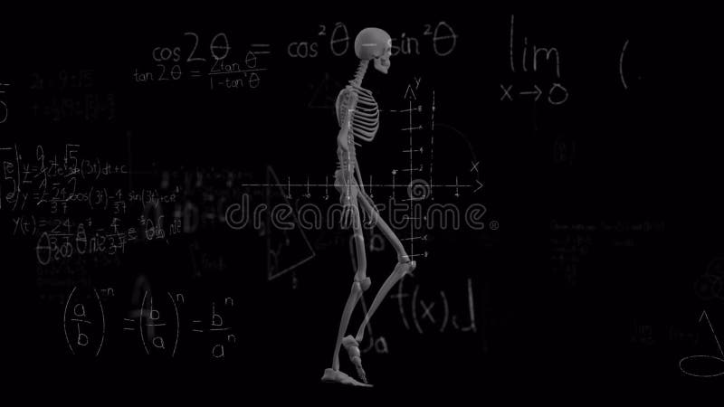 Animation of Mathematical Equations Over Skeleton Stock Footage - Video ...