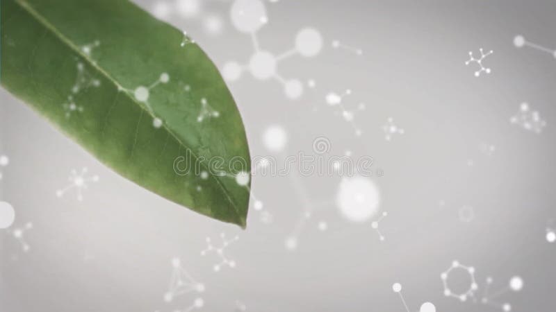 Animation of Molecules Floating Over Leaf Stock Video - Video of modern ...