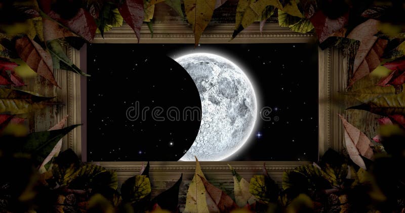 Animation of Moon Eclipse in Leaf Frame Stock Footage - Video of spring ...