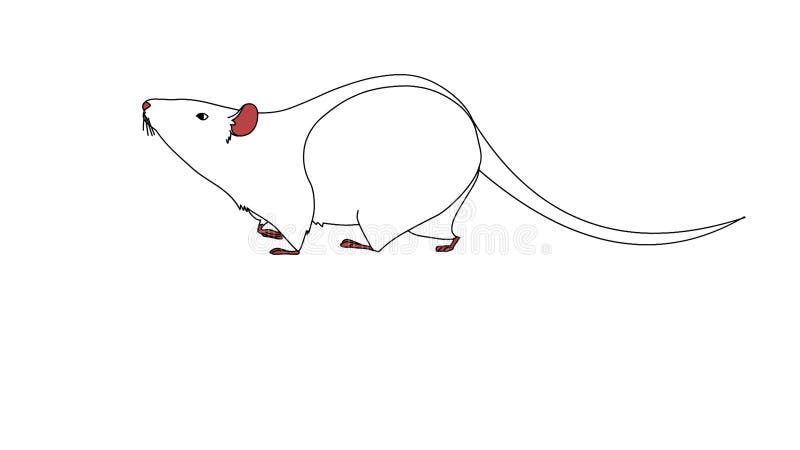 Running Mouse Cartoon on Isolated White Background Stock Video - Video ...