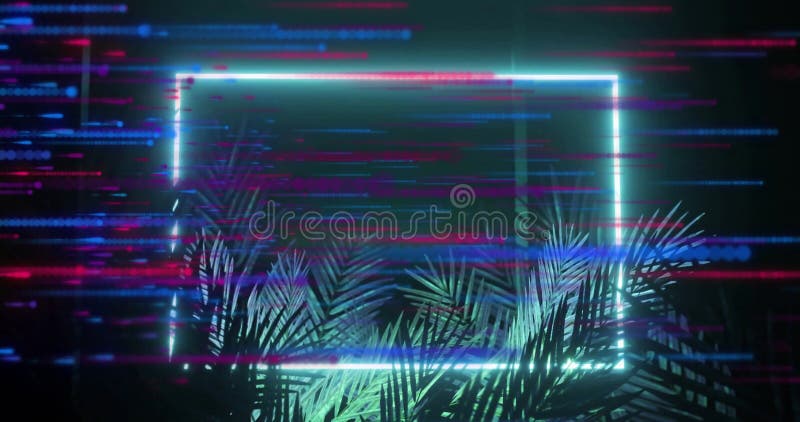 Animation of Neon Rectangle with Glitch Effects Over Tropical Palm ...