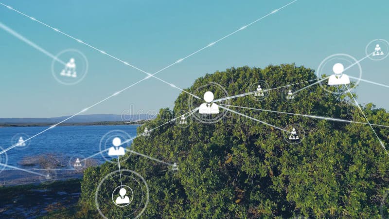 Animation of Network of Connections with Icons Over Landscape Stock ...