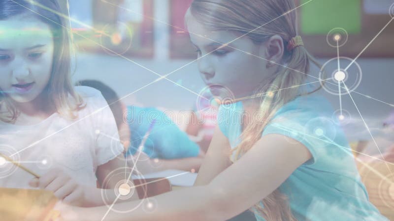 Animation of Network of Connections Over Diverse Schoolchildren in ...