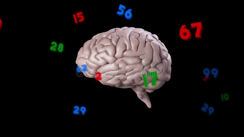 Animation of Numbers Changing with Human Brain Spinning Stock Footage ...