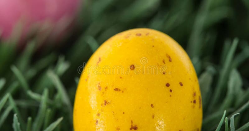 Animation of Orange Easter Egg on Grass Stock Footage - Video of ...