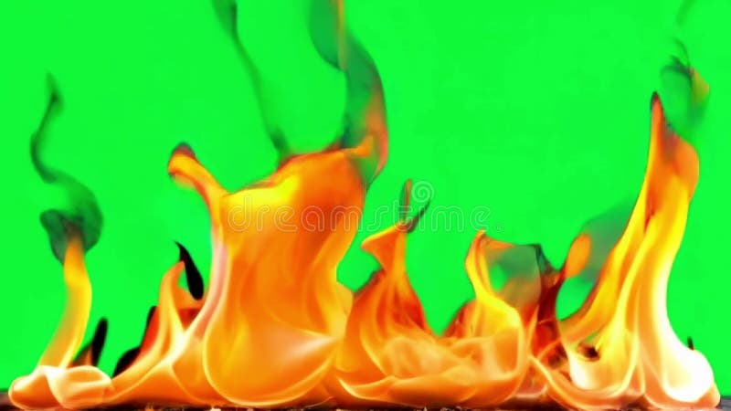 Orange Fire Background for Logo Animation. Stock Video - Video of ember ...