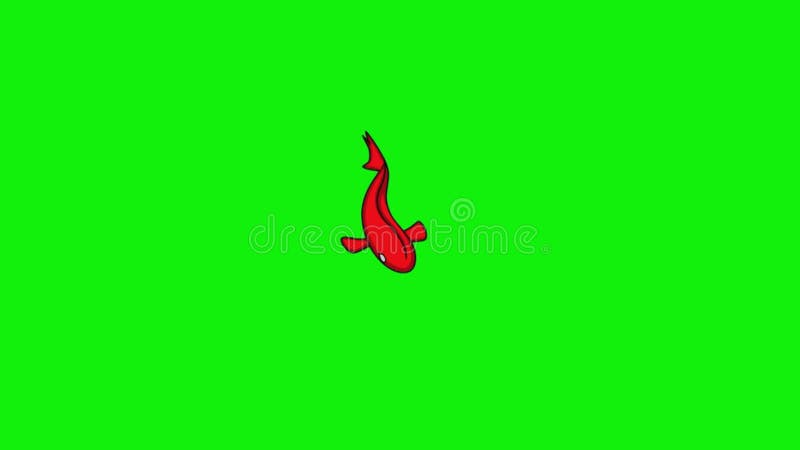 Animation of Orange Fish Swimming on a Green Screen Background Stock ...