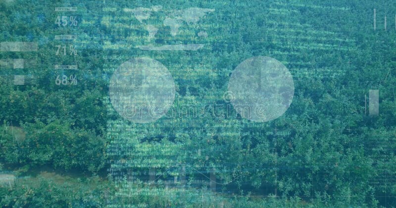 Animation Overlaying Data and Analytics on Lush Green Forest Landscape ...