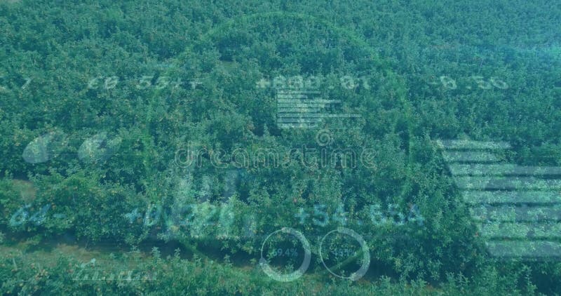 Animation Overlaying Digital Data on Lush Green Forest for ...