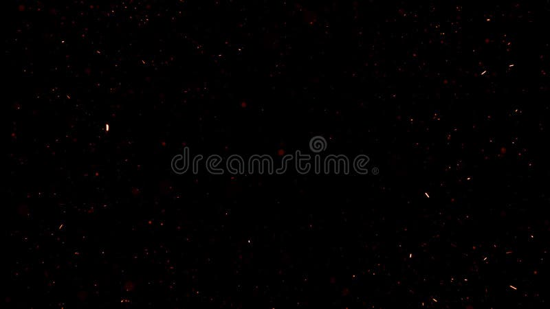 Animation of Particles Explosion on Black Background Motion Stock Video ...