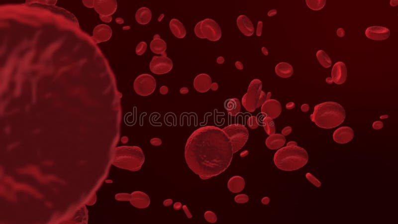 An Animation of Red Blood Cells Floating Past the Camera Stock Video ...