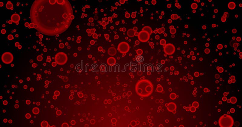 Animation of Red Bubbles Falling on Dark Red Background Stock Video ...
