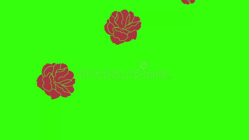 Animation of Red Roses, Graphic Design on Green Screen, Transition ...