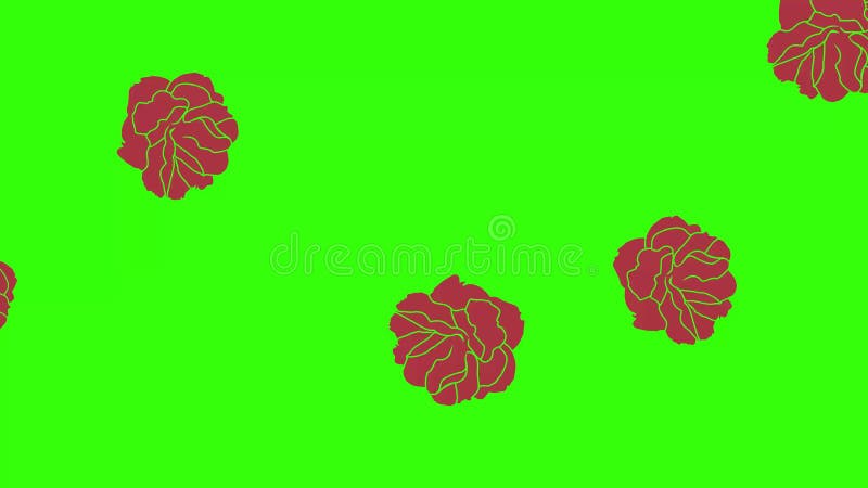 Animation of Red Roses, Graphic Design on Green Screen, Transition ...