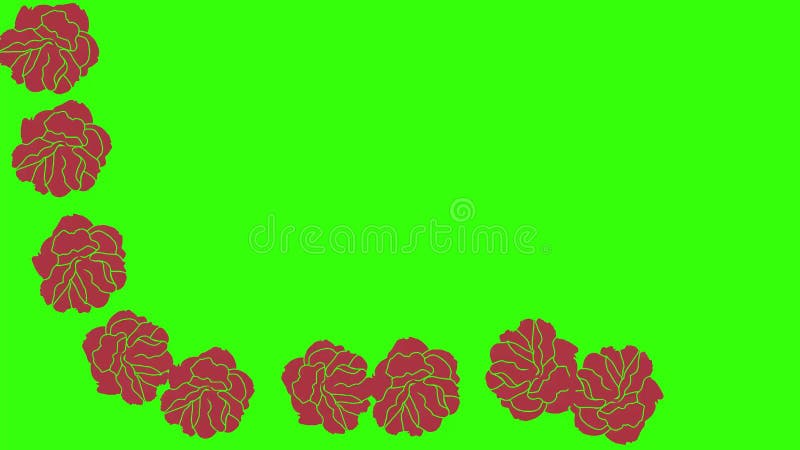 Animation of Red Roses, Graphic Design on Green Screen, Transition ...