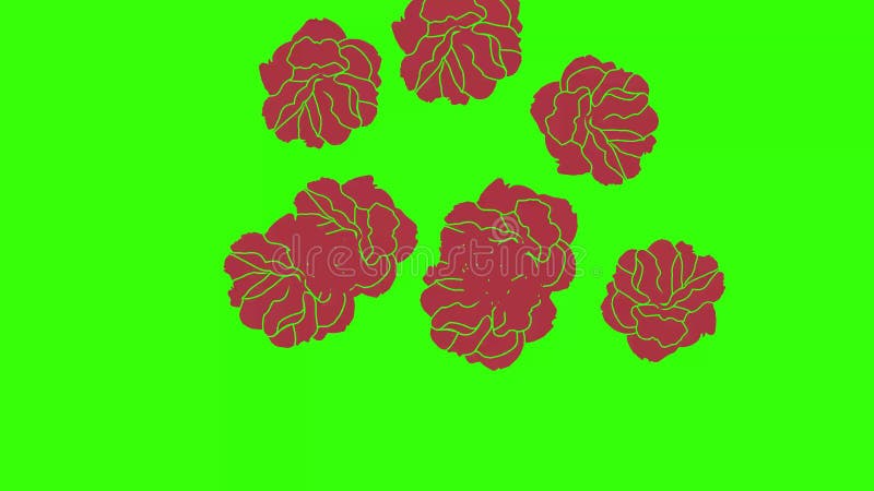 Animation of Red Roses, Graphic Design on Green Screen, Transition ...