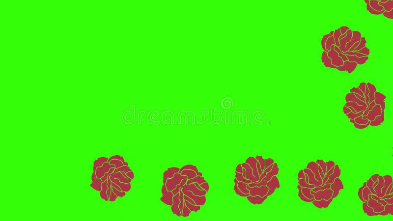 Animation of Red Roses, Graphic Design on Green Screen, Transition ...