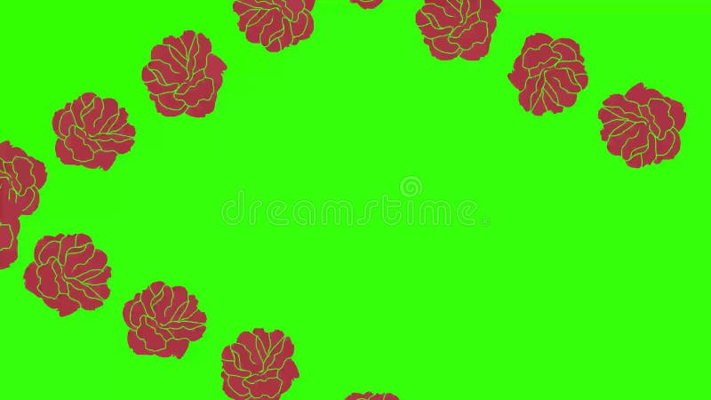 Animation of Red Roses, Graphic Design on Green Screen, Transition ...