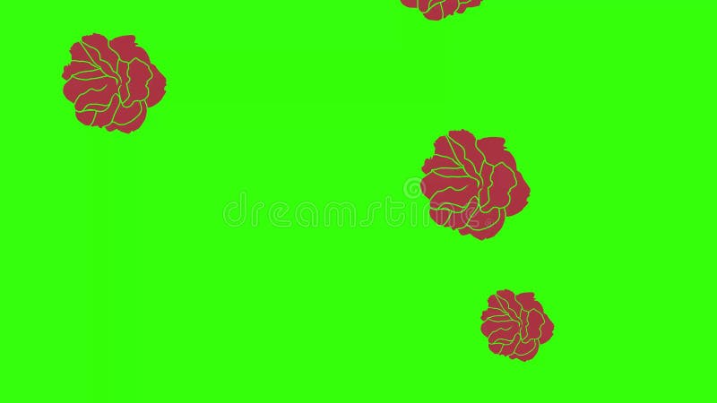 Animation of Red Roses, Graphic Design on Green Screen, Transition ...