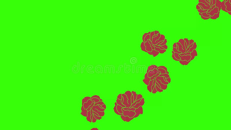 Animation of Red Roses, Graphic Design on Green Screen, Transition ...