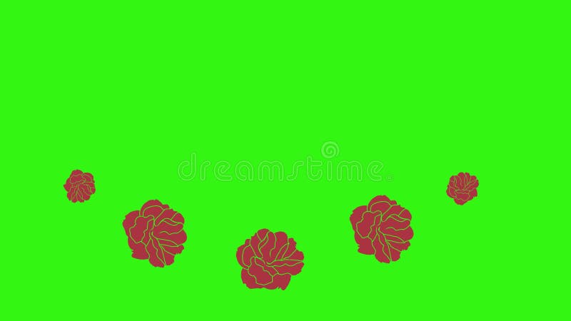 Animation of Red Roses, Graphic Design on Green Screen, Transition ...