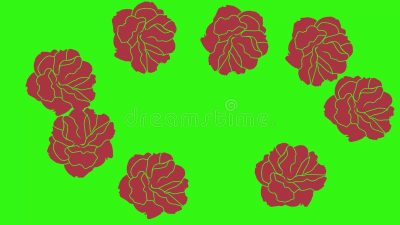 Animation of Red Roses, Graphic Design on Green Screen, Transition ...