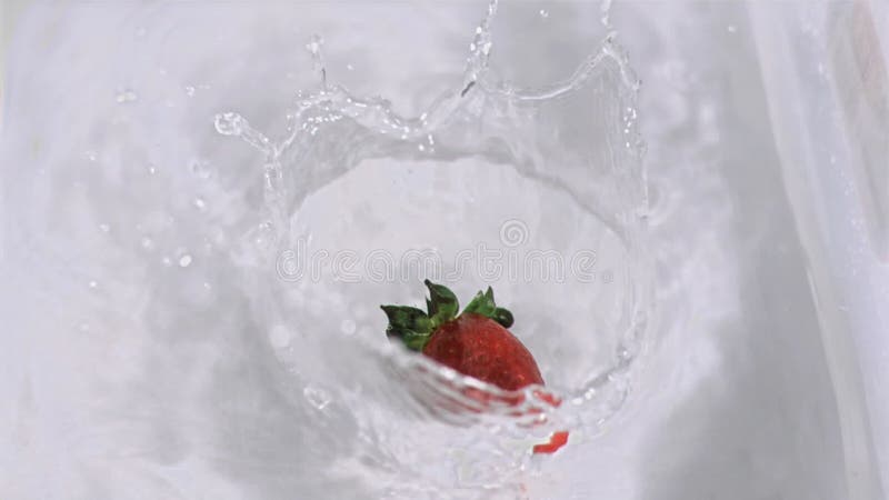 Animation of Red Shapes Over Strawberry on White Background Stock Video ...