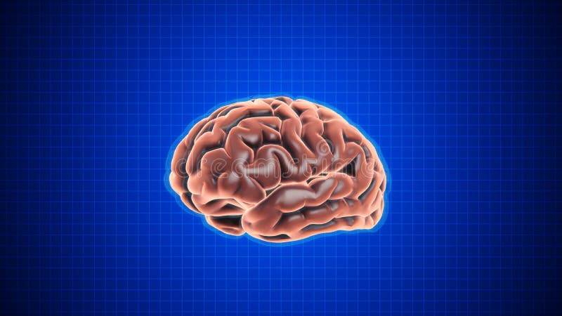 Animation of Rotating Brain with Grid on Dark Blue Background Stock ...