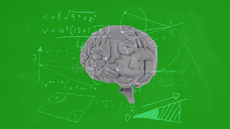 Animation of Rotating Brain and Math Formulas on Green Background Stock ...