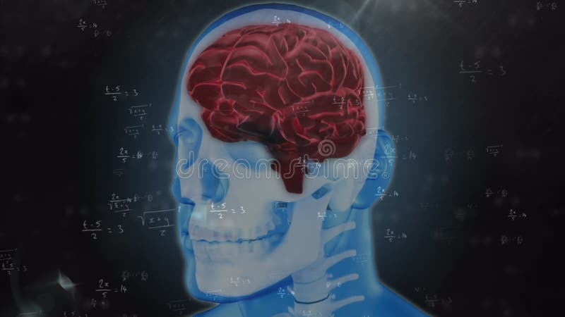 Animation of Rotating Human Head Model, Brain and Math Formulas on ...