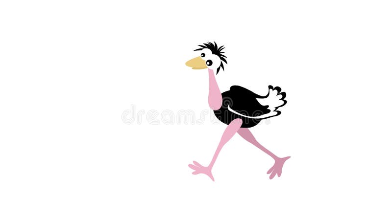 Animation Runs an Ostrich. 2d Motion Stock Footage - Video of nature ...