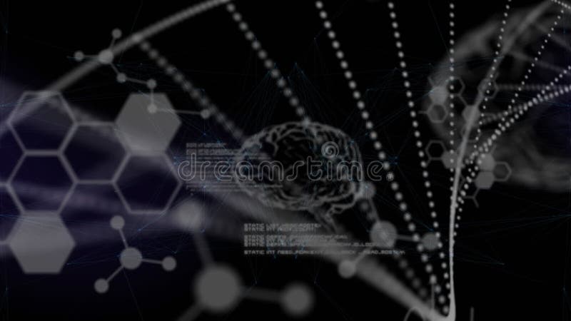 Animation of Scientific Data, Dna, Brain and Connections Over Black ...