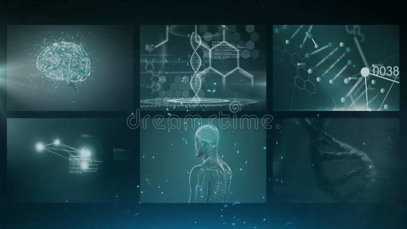 Animation of Scientific Data Processing Over Screens on Black ...